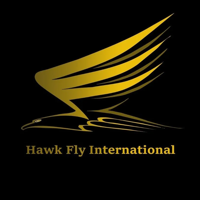Company Overview - HAWK FLY INTERNATIONAL
