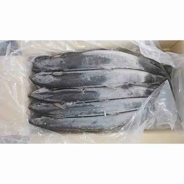 Whole Round Mackerel Fish Frozen Pacific Mackerel Best Price/frozen ...