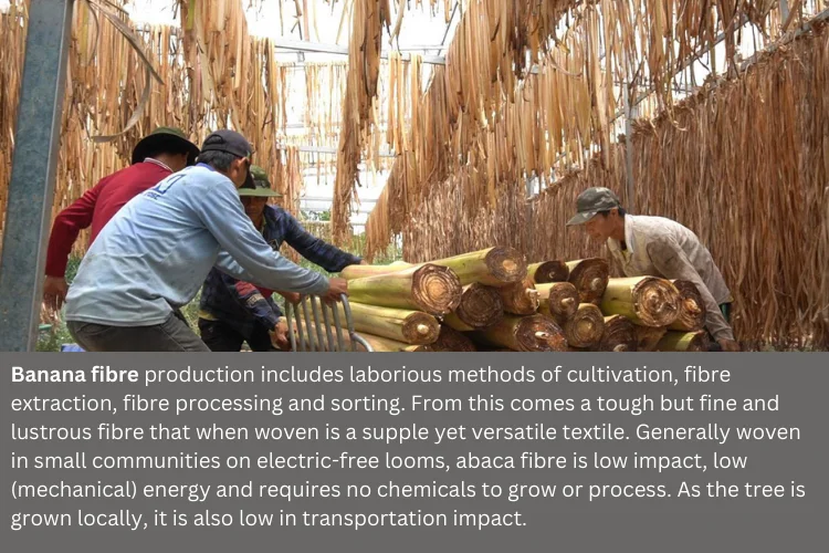 Best Price 2024 Banana Fiber Banana Fabric 100% Natural From Blue Lotus ...