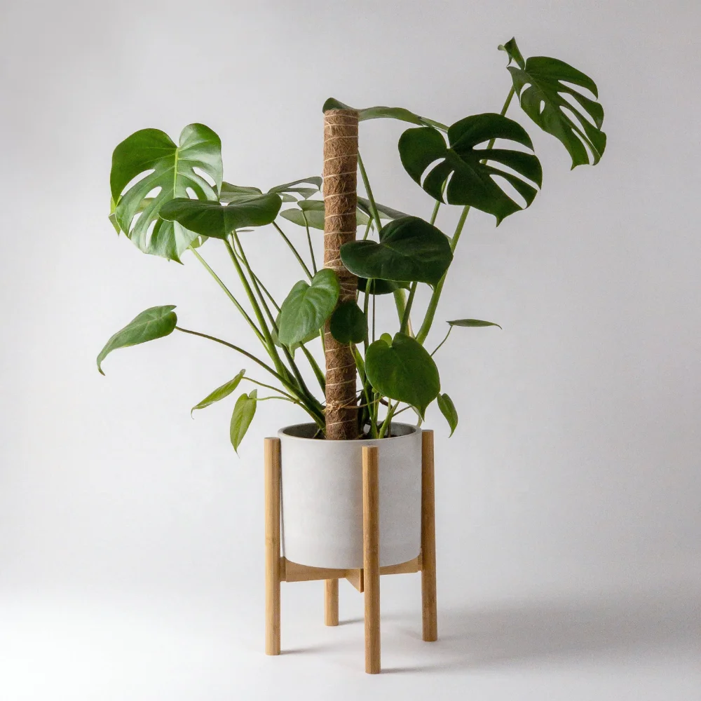 Indoor Outdoor Usable Coco Grow Poles - Support to Climbing Plants Made ...