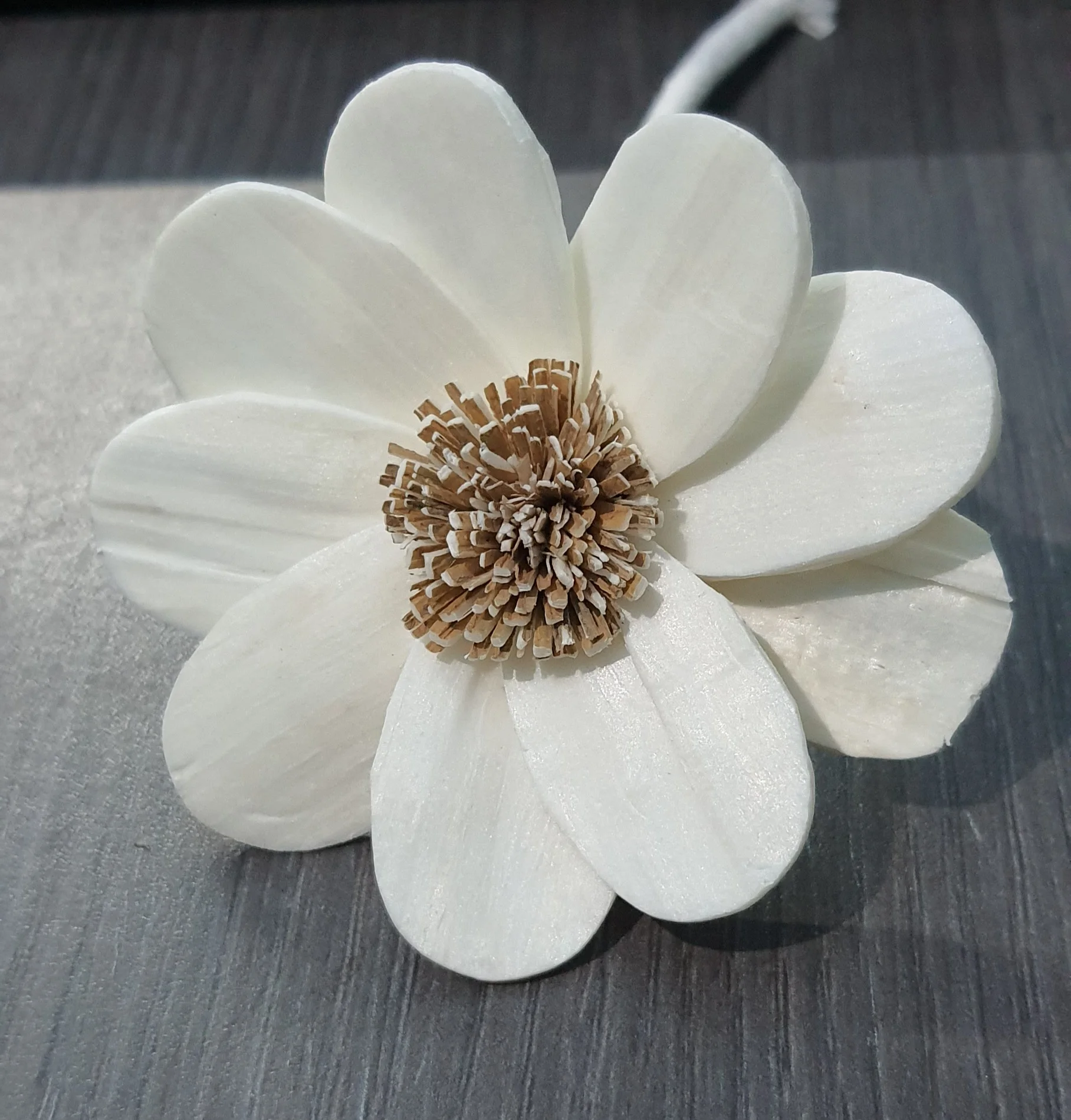 Sola Flower With Bark For Room Fragrance Reed Diffuser Home Freshener ...