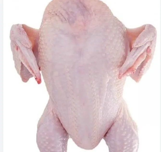Frozen Broiler Chicken - Buy Frozen Broiler Chicken,Price Of Broiler ...