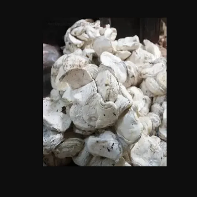 Rubber,Latex,Raw Rubber,Cup Lump Rubber - Buy Fresh Natural Latex Lumps ...