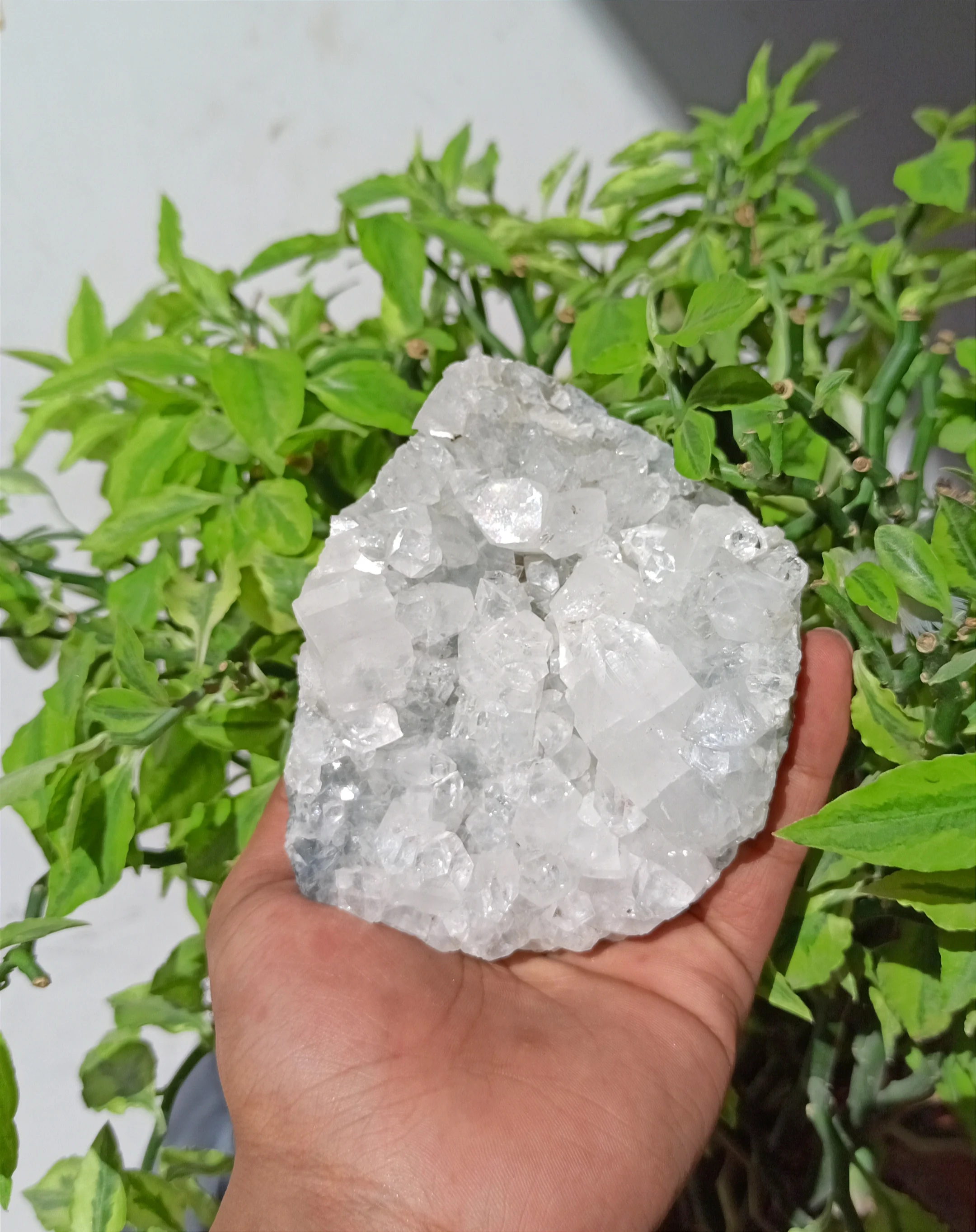 Mineral Apophyllite Clusters Wholesale Stilbite Apophyllite Mineral ...