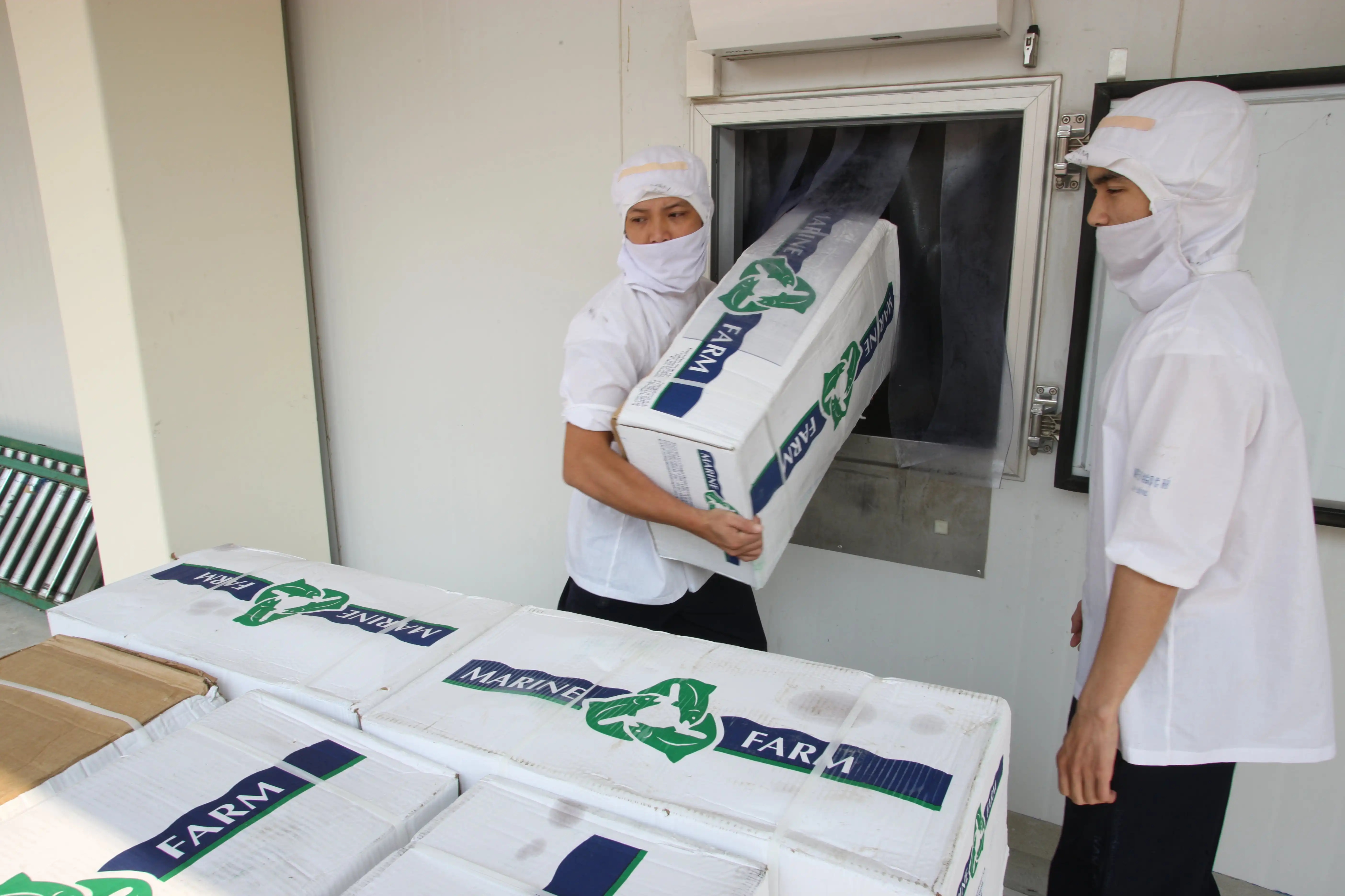 Oem Iso Haccp Bento Box Food Frozen Roasted Threadfin Porgy Rolled With ...