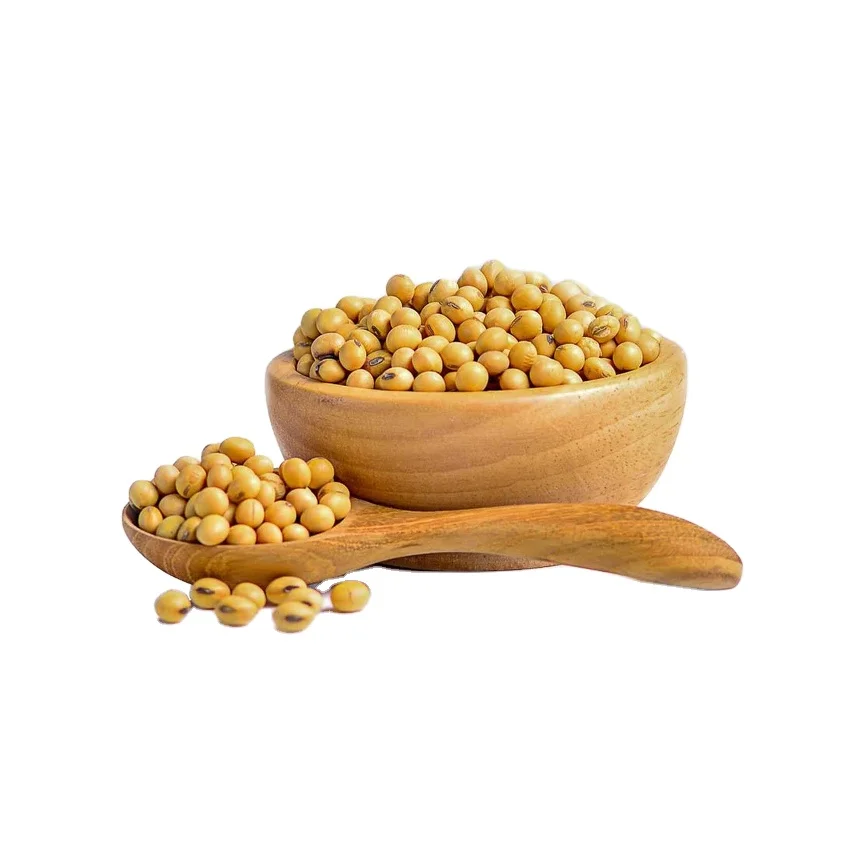 Super Sell 2023 Soybean With Fresh Quality & Naturally Made Food Grade ...