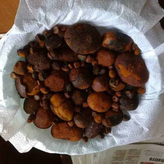 Cow Ox Gallstones | Cattle Gallstones | Ox Gallstones - Buy Wholesale ...