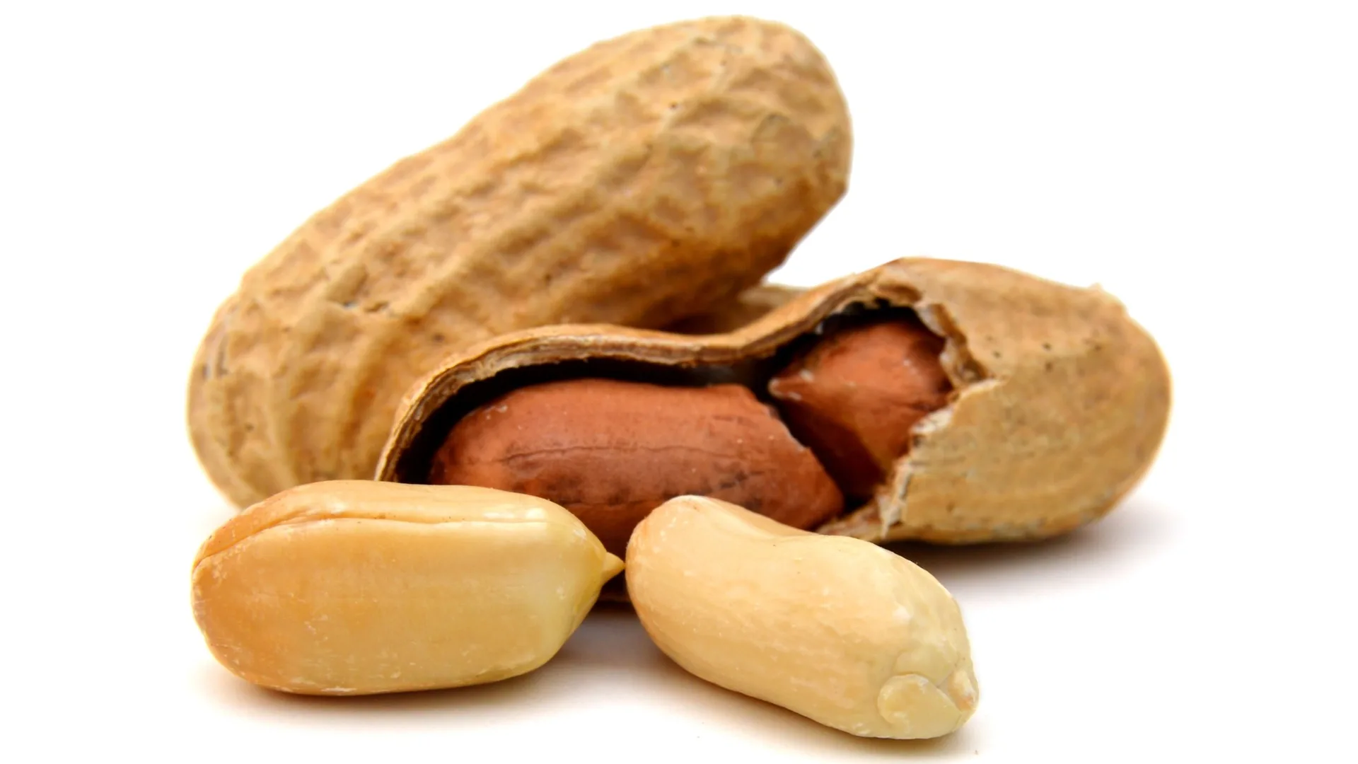 High On Demand 100% Natural Groundnut Raw Peanut Bold Peanut Kernel ...