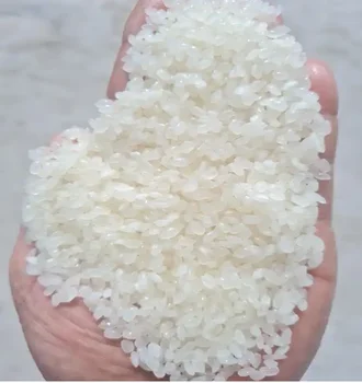 Japonicajapanese Japonica Rice (sushi Rice) Super Premium Short Round Rice Shape From Thailand ...