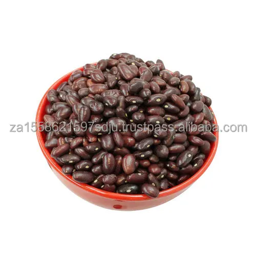 Sugar Red Kidney Beans Wholesales Supplier Food Grade 50kg Pack 25tons ...