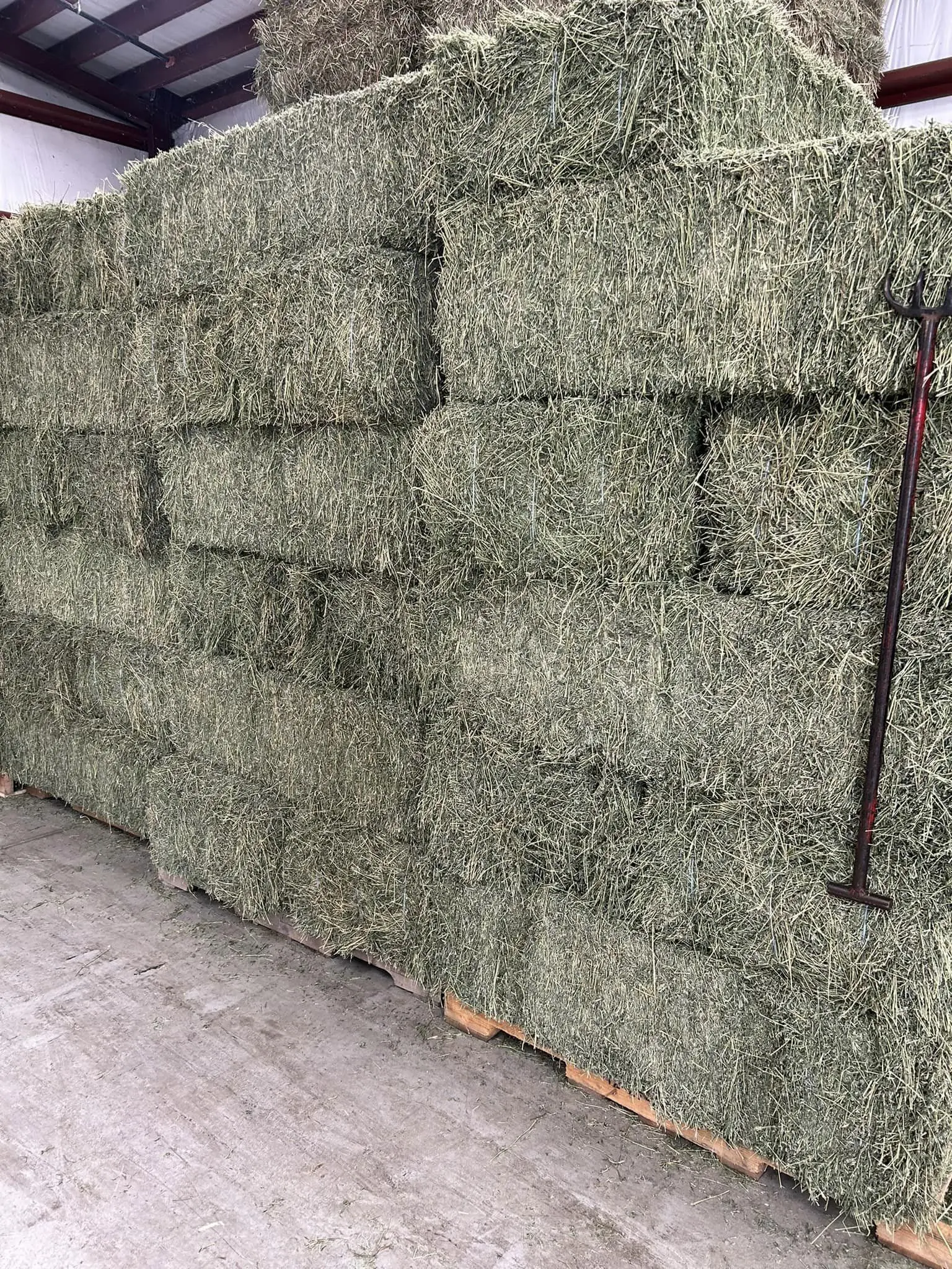 Alfalfa Hay Grass With High Protein For Animal Feeding In Bulk - Buy ...