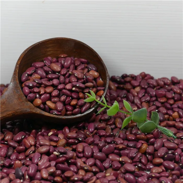 High Quality Non-gmo Red Kidney Beans And Red Beans With Wholesale ...