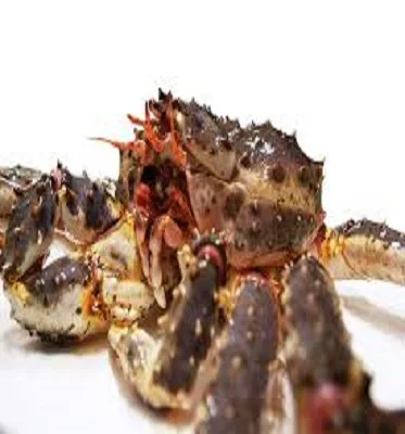 6ft Giant Live Norwegian Red King Crab Red Frozen King Crab,Live Red ...