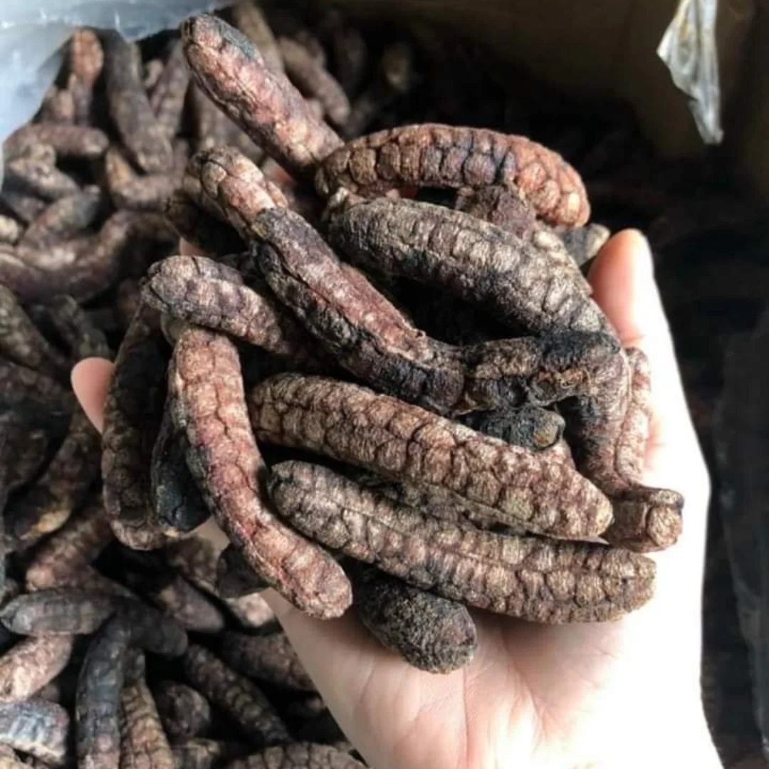 Dried Jungle Pip Banana/ Dried Wild Banana Seeds From Natural Forest ...