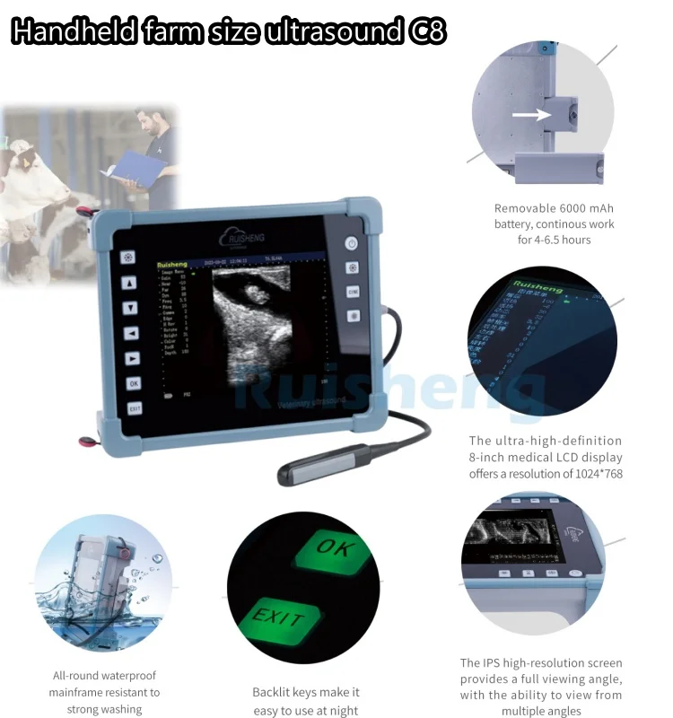 Veterinary Abdominal Cattle Back Fat Ultrasonido Vet Ultrasound Dawei ...