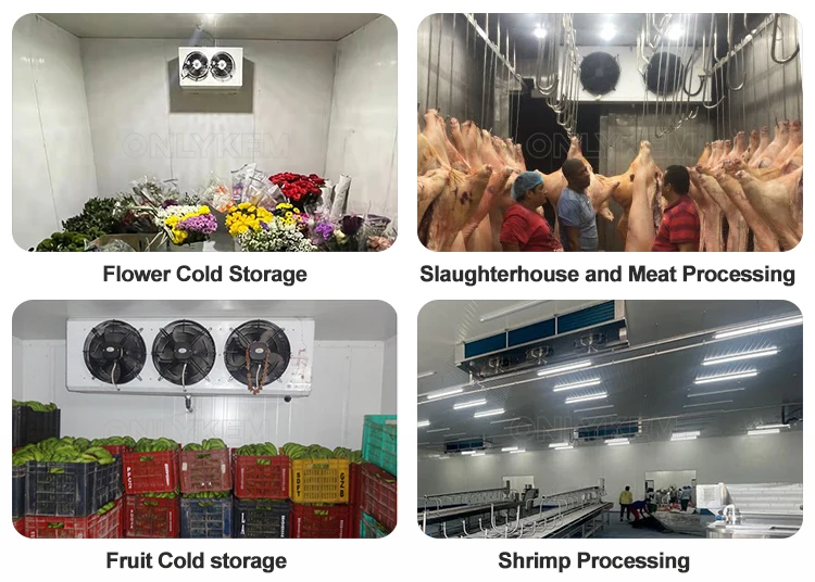 Onlykem Flower Storage Walk In Cooler Freezer Refrigeration Cold Room ...