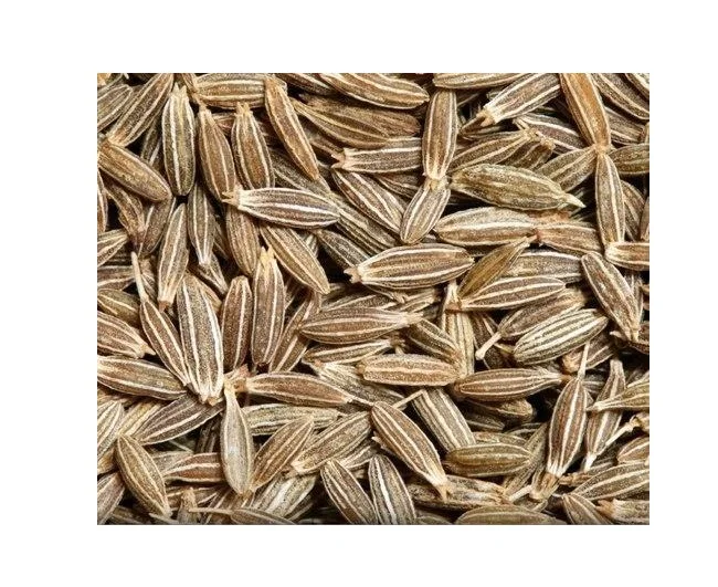 High Quality Indian Cumin Dried Spices & Herbs Products Seasonings ...