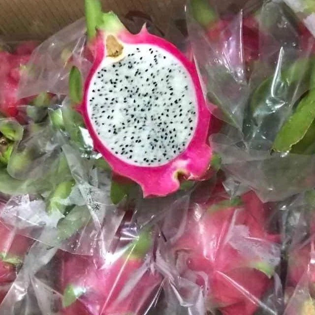 Fresh Dragon Fruit From Vietnam Farm - Purple Skin Color With Red Plesh ...