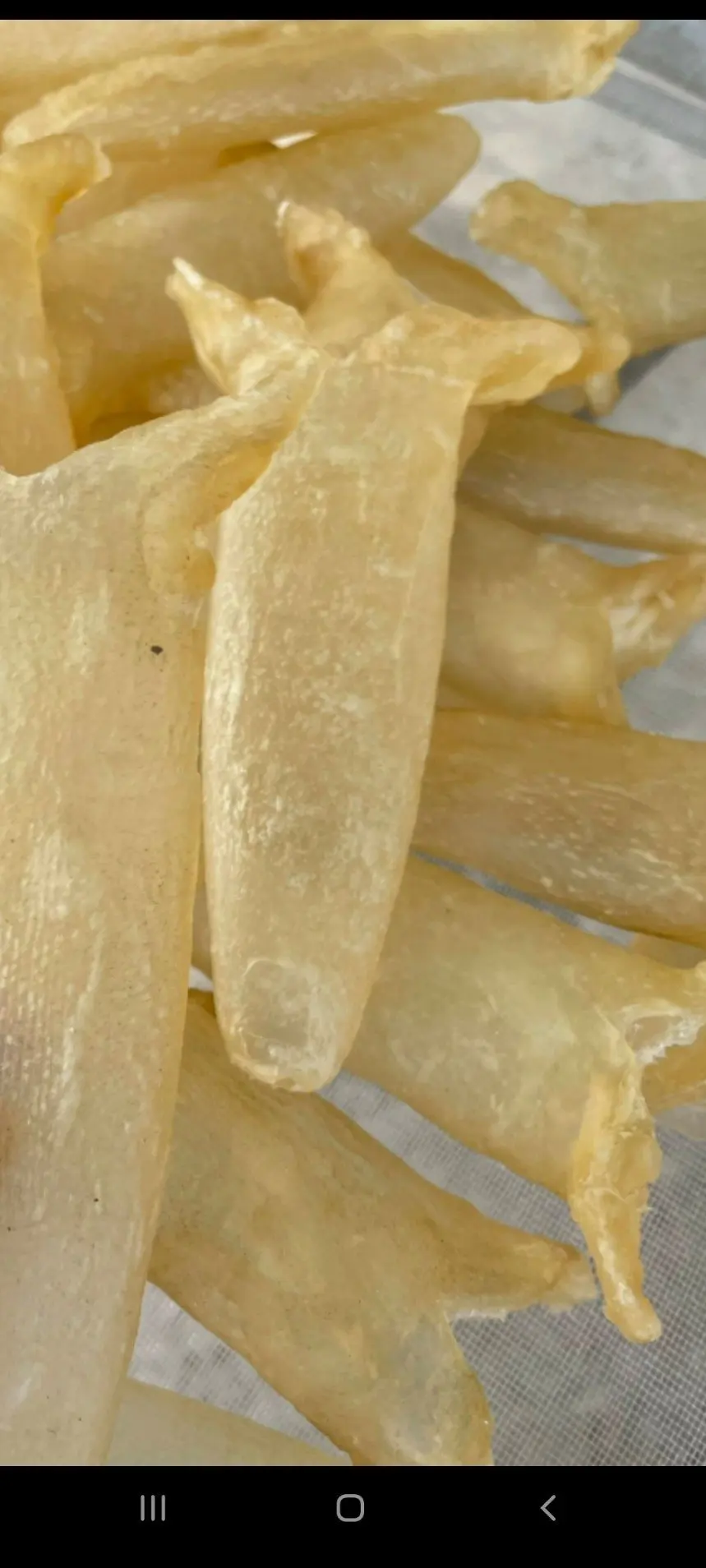 Top Quality Dried Fish Maw 100% Natural Originated From Vietnam For ...