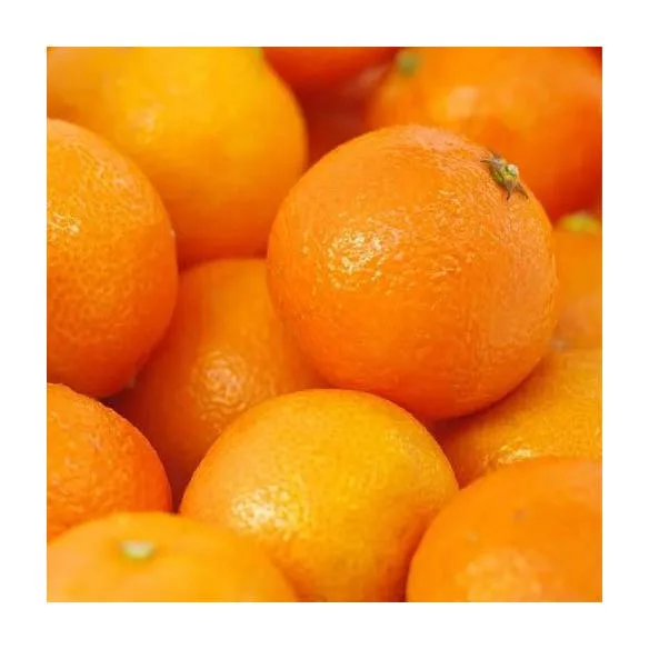 Fresh Style And Citrus Fruit Product Type Grapefruits/ Valencia Orange ...