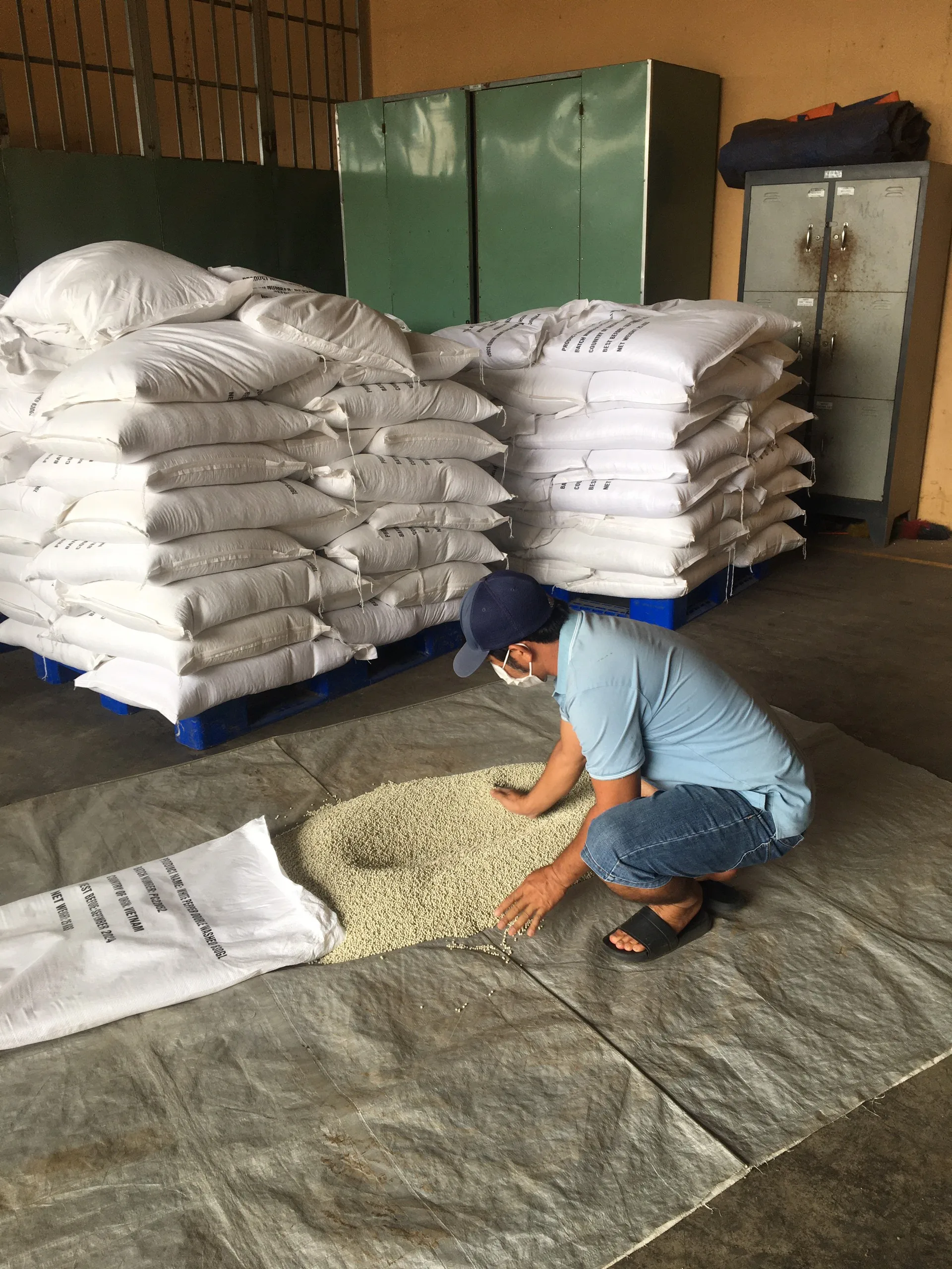 Vietnam Whole Black Pepper Processing Machine - Best Quality