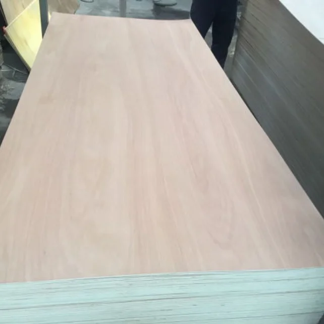 Customized Factory Red Poplar Plywood Eucalyptus Acajou Birch Plywood ...
