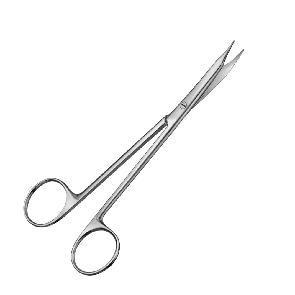 Reynolds Dissecting Scissors Curved Delicate Pattern Blunt Blunt 145 Mm ...