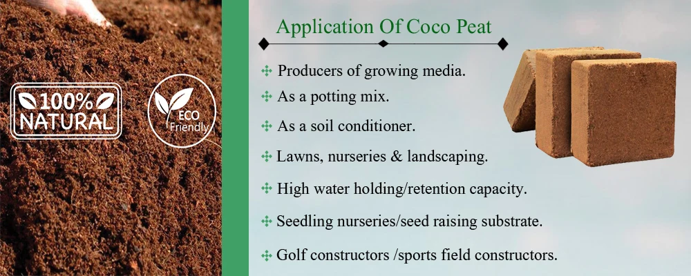 Washed Coco Peat Pith Low Ec 6 - 8 Mm Sieved Coco Peat 5 Kg Block From ...