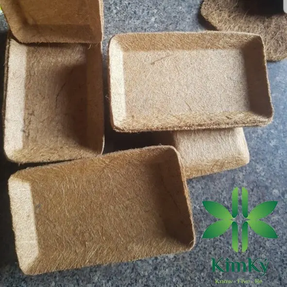 Best Natural Choice Tray For Vegetable Fruit Packaging Take Away Food ...