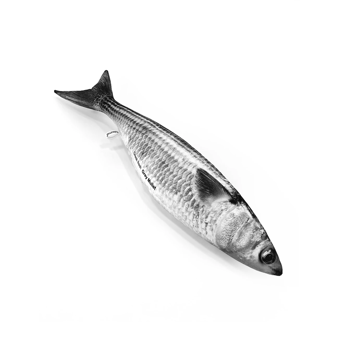 Frozen Grey Mullet Fish Red Mullet Whole Fish Blue Spot Fresh Seafood ...