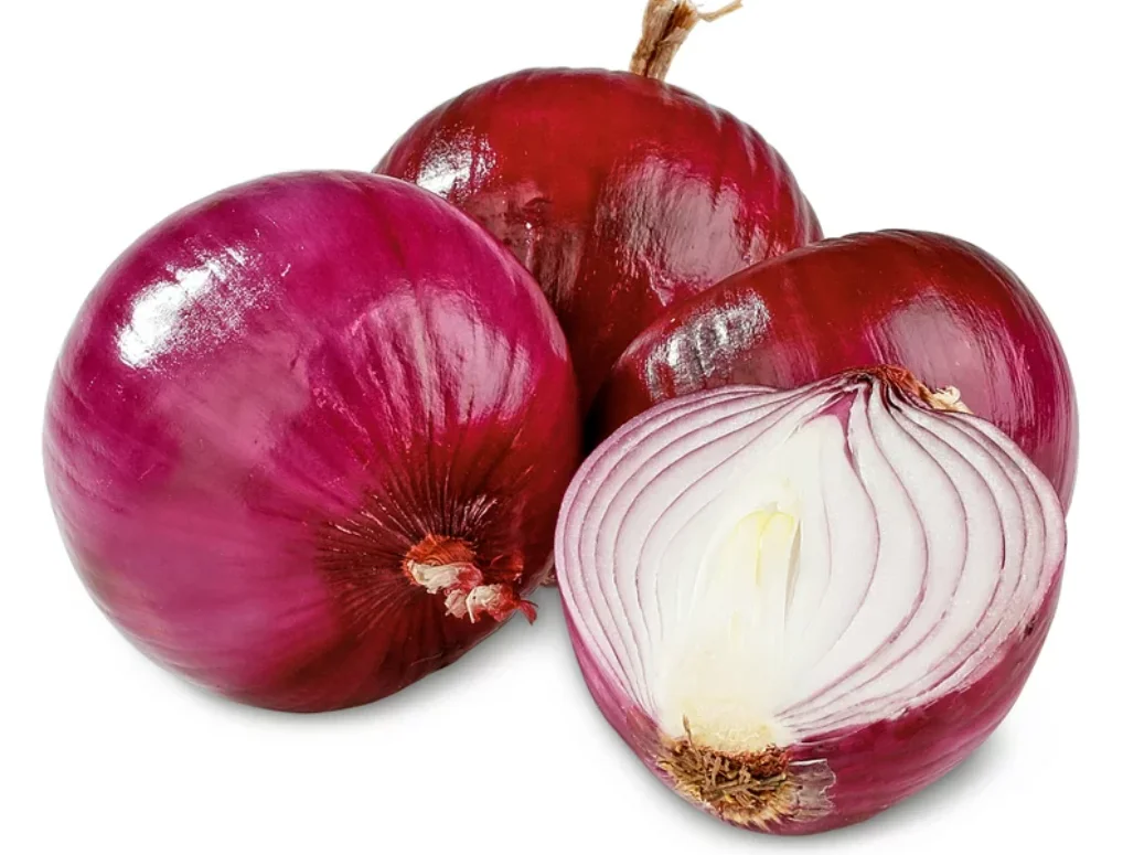 Fresh Red Onion Fresh Vegetables Onion Wholesale Red Onion With Good ...