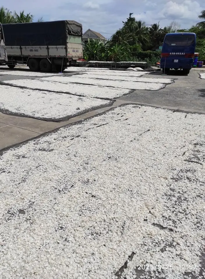 Hot Export 2024 Fish Scale Premium Quality From Vietnam Supplier - Buy ...