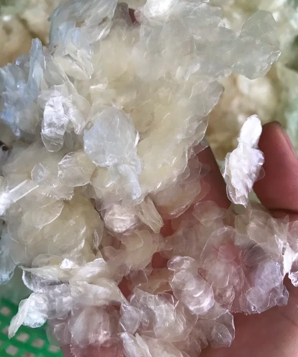 SEABASS FISH SCALE FLAKE PRODUCT- DRIED SEAFOOD SMALL PIECES of FILLETS ...