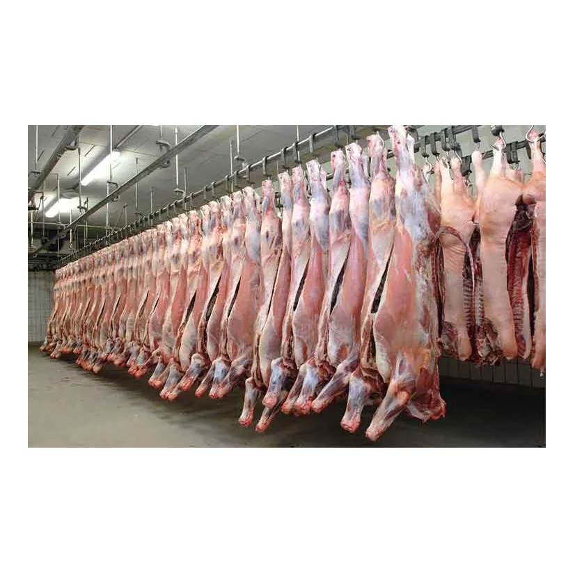 Halal Frozen Beef Carcass / Frozen Beef Feet / Frozen Beef Head - Buy ...