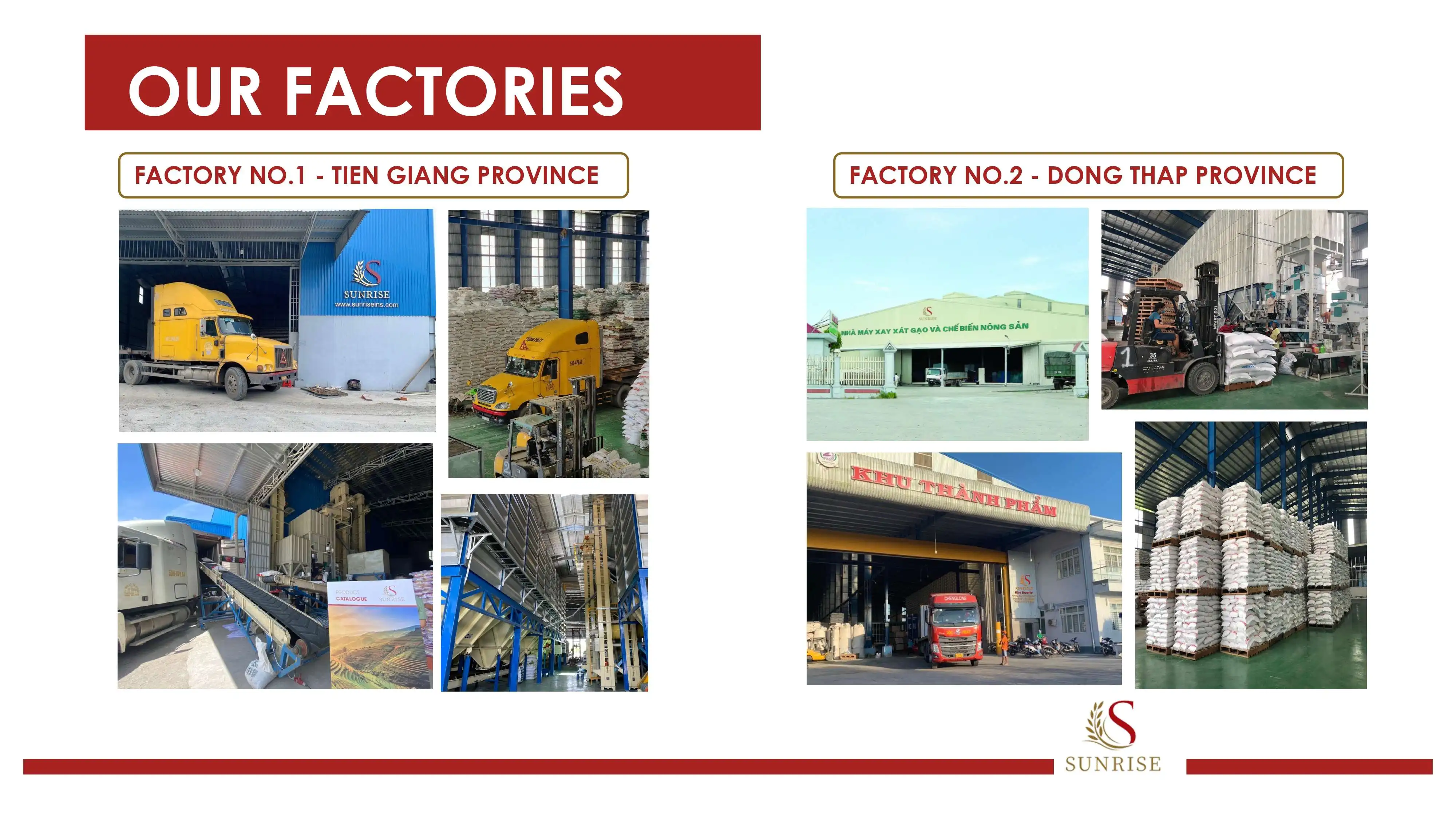 Long Grain Perfumed Jasmine Rice Packed 5kg 10kg 25kg Bag - Vietnam ...