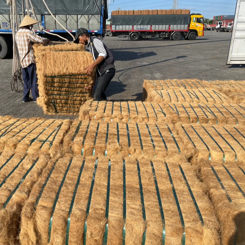 Coconut Fiber/ Cocopeat/ Coir Peat For Exporting - Buy Coconut Fibre ...