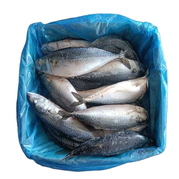 High Quality Seafood Frozen Horse Mackerel Blocks Fish / Mackerel Tuna ...