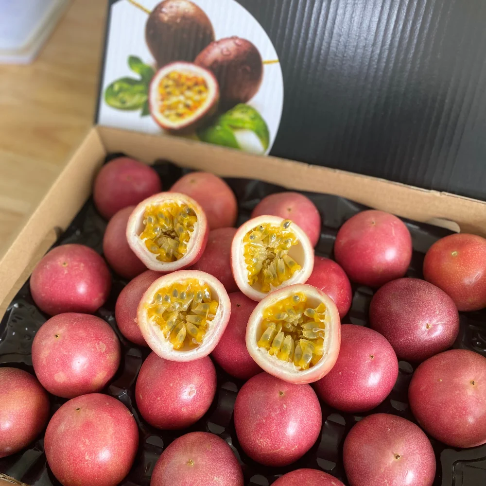 Passion Fruit For Export Passion Fruit For Fresh Carton Box Passion Fruit Vietnam Manufacturer