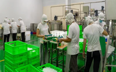 Best Seller Frozen Sugarcane Sugar Cane Stems Iqf Cubes Bqf Juice From ...