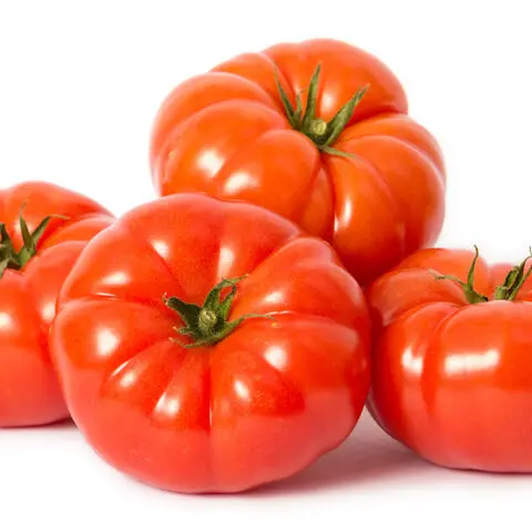 Fresh Tomatoes Natural High Quality Export Bulk Box Style Storage ...