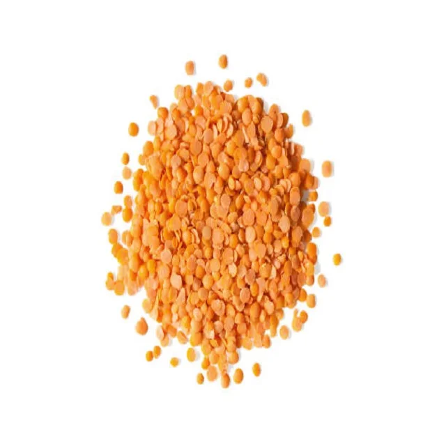High Quality Whole And Split Lentils Red Lentils And Green Lentils ...