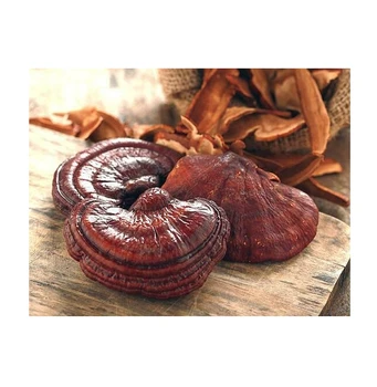Dry Special Ganoderma Red Ganoderma Ganoderma Lucidum Slices Reishi ...