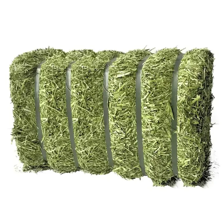 Bulk Affordable Alfalfa Hay Pellets From Turkey - Buy Alfalfa Pellets ...