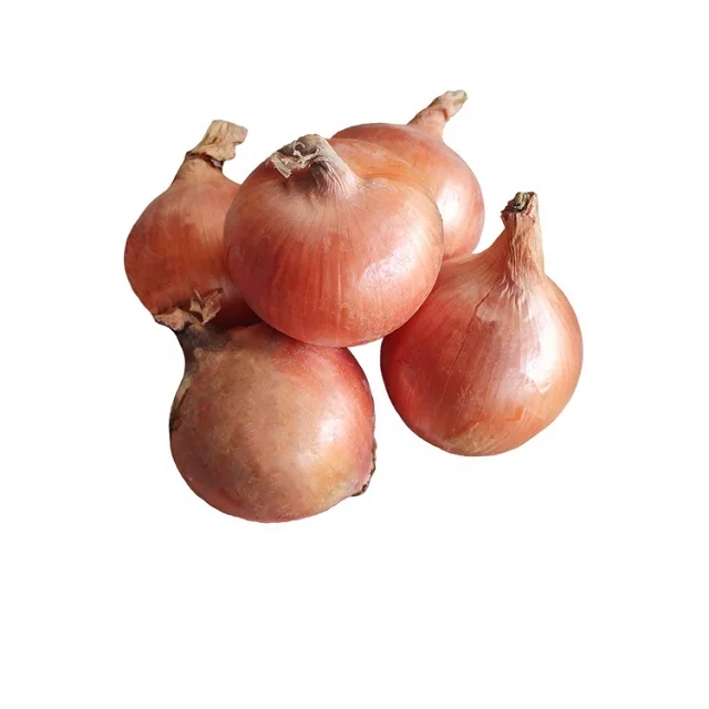Vegetable Packing Fresh Red/yellow/white/brown Onions For Export High ...