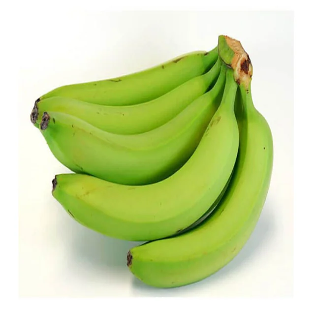 Fresh Bananas Green Cavendish Banana / Tropical Plantains Fresh Green ...