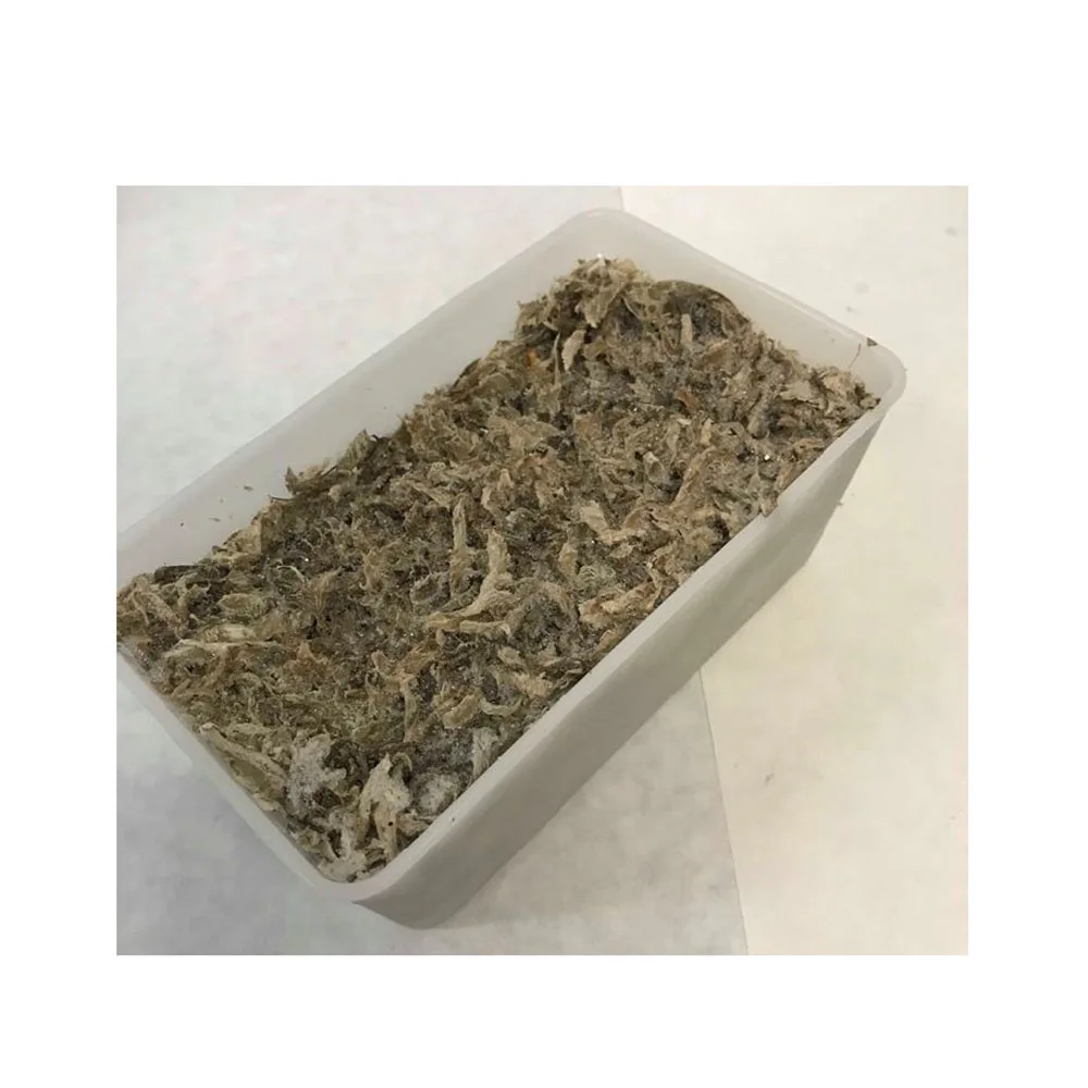 Wholesale Animal Feed From Hay Grain Worm Seeds Beet Pulp Vegetable ...