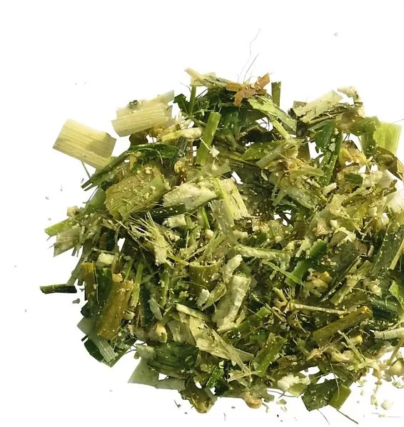 Corn Silage Organic /corn Silage Unprocessed Dried Corn Silage Mixture ...