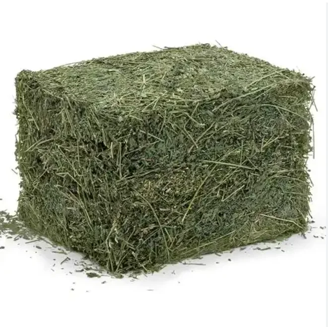 Alfalfa (lucerne) Hay/timothy Alfafa Hay/ Cheap Alfafa Hay For Animal ...