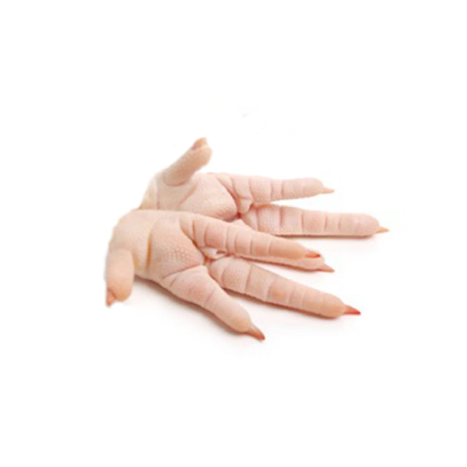 Wholesale Frozen Chicken Feet - Best Quality & Nutritious