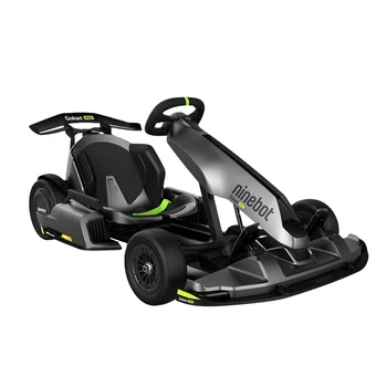 Electric Racing Go Karting Cars 390w Double Driving Big Power Pedal Go ...